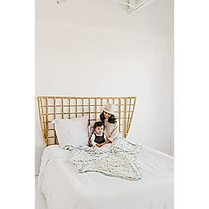 Copper Pearl Jumbo Premium Knit 3 Layer Stretchy Throw Blanket Rex