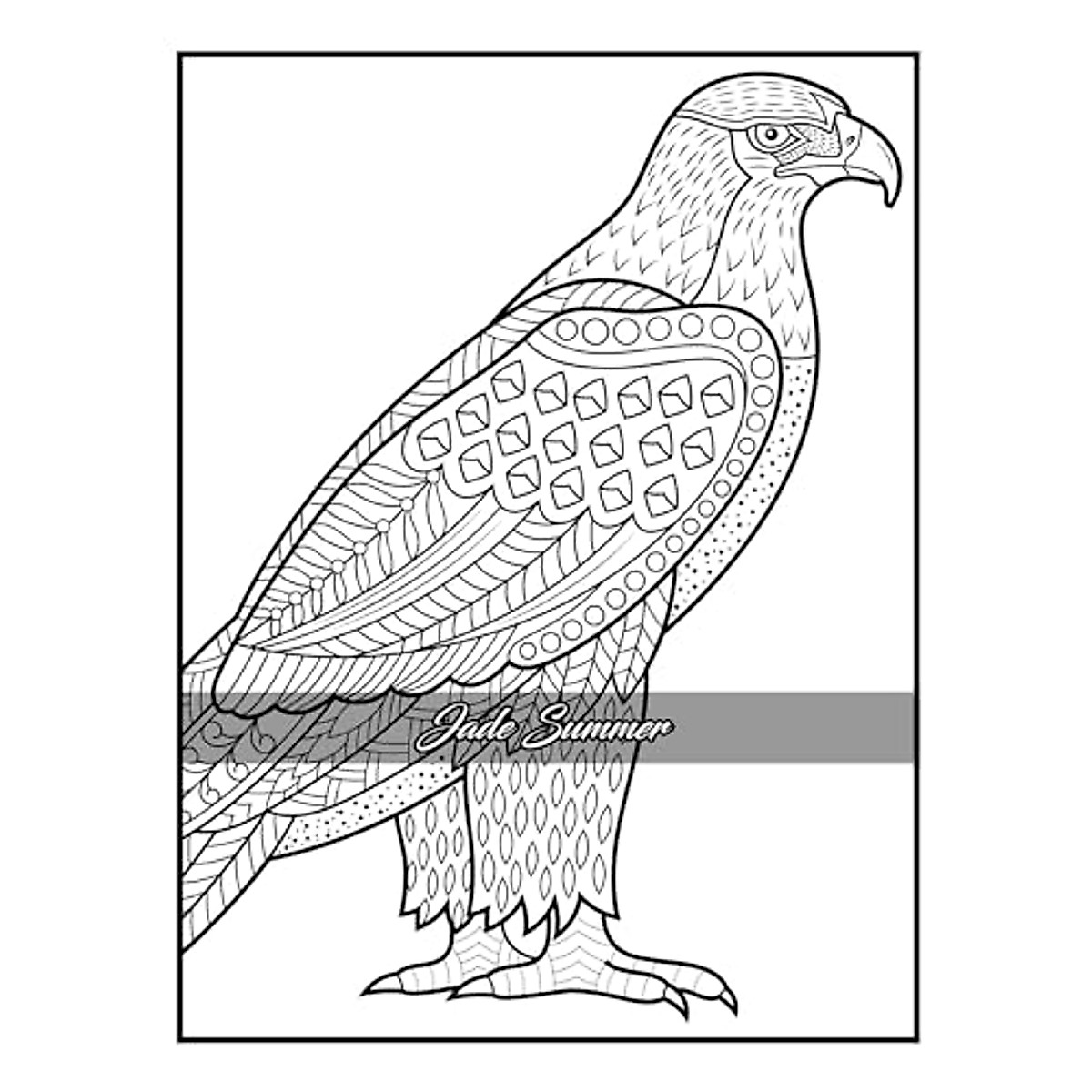 100 Animals: An Adult Coloring Book with Lions, Elephants, Owls, Horses, Dogs, Cats, and Many More!