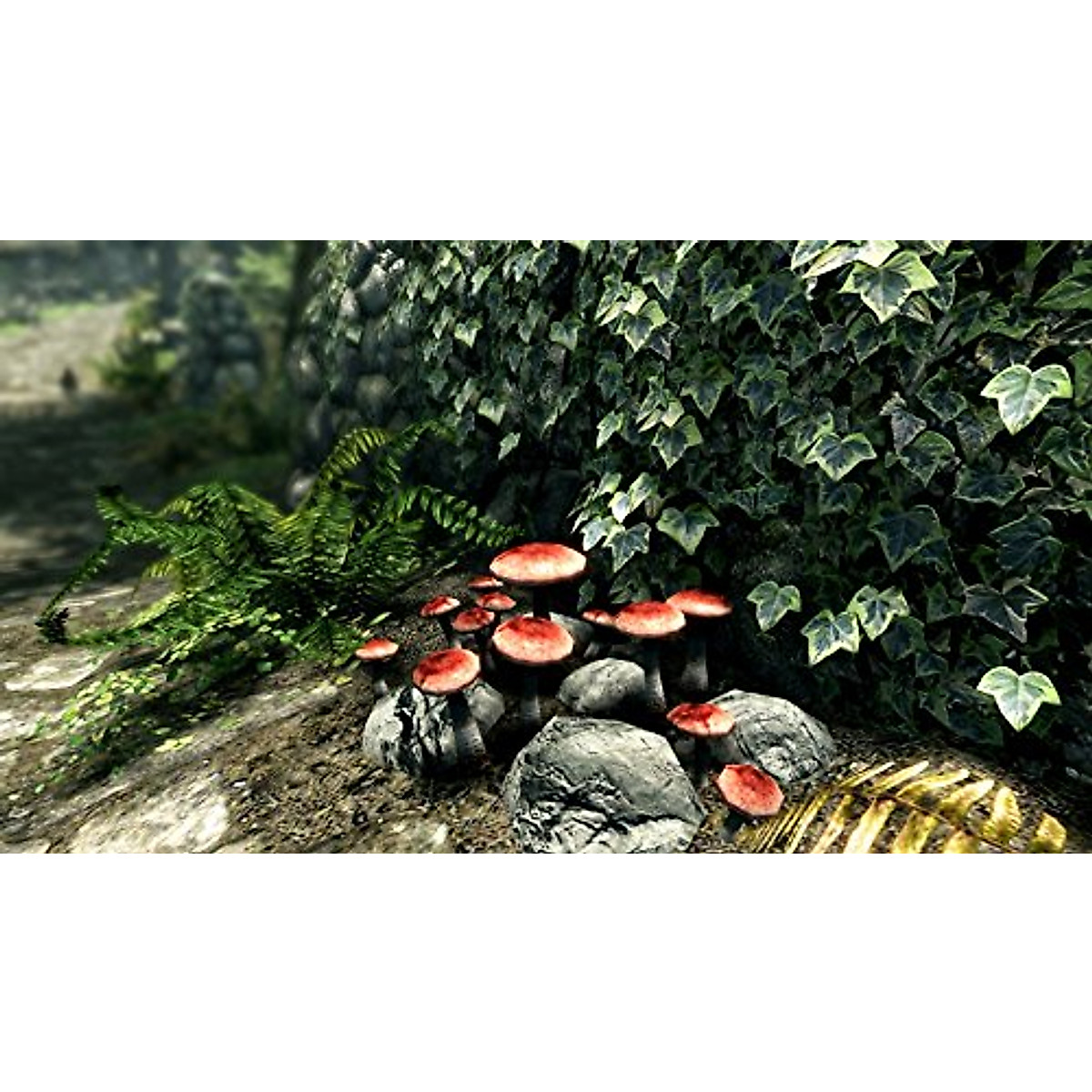 The Elder Scrolls V: Skyrim (Special Edition)