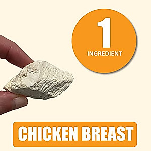 Whole Life Pet Freeze Dried Chicken Cat Treats - Human Grade - One Ingredient - Sourced and Made in The USA