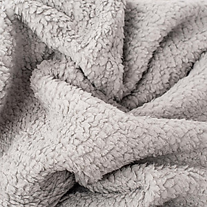 Baby Blanket or Pet Blanket, Comfy Soft Warm Blankets for Baby Girls and Boys, Dog and Cat, Plush Fleece Throw Blankets for Sofa, Couch, Travel and Camping (Sherpa 24"×32",2-pack, Light grey)