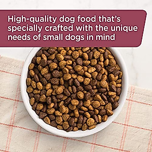 Rachael Ray Nutrish Little Bites Dry Dog Food, Chicken & Veggies Recipe for Small Breeds, 6 Pounds