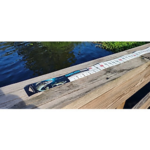 Salty Bones 36" Fishing Ruler Sticker - Walleye Edition - Made in The USA