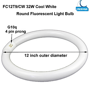 FC8T9/CW 22W and FC12T9/CW 32W Cool White Round Fluorescent Light Bulb Set, 8 inch T9 22 Watts & 12 inch 32 Watts Circular Bulbs Pack, Circline Kitchen and Bath Light Bulbs, CRI 80, 4100K, G10q Prong