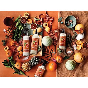 Caldrea Hand Soap Refill, Aloe Vera Gel, Olive Oil And Essential Oils To Cleanse And Condition, Tangelo Palm Frond Scent, 32 Oz