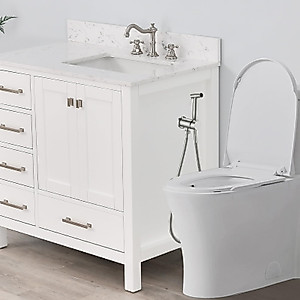 Chomely Warm Water Handheld Bidet Sprayer for Toilet, Mounted on Bathroom Vanity, Cloth Diaper Jet Sprayer Attachment for Feminine Wash, Muslim, Ducha Para Toilet, Pet Shower, Brushed Nickel