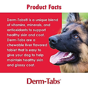 Pet Health Solutions Derm Tabs Extra Strength for Dogs - Natural Oil, Vitamins, Minerals, and Antioxidants - Support Healthy Skin and Reduce Shedding - 360 Chewable Tablets