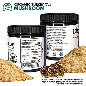 Ultimate Turkey Tail 8:1 Extract by Doggie Herbs – 389mg Beta Glucan per 1g Scoop (39%), Contains ONLY Polysaccharides – 100g