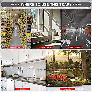 Mouse Traps, 4 Pack Rat Traps Home Indoor Powerful Steel Spring, Effective Mice Catcher for Rats, Chipmunks, Mice, Easy to Bait & Setup, Instant Kill Results,Reusable Large Rats Catcher