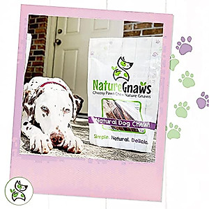 Nature Gnaws Beef Jerky Chews for Large Dogs - Premium Natural Beef Gullet Sticks - Simple Single Ingredient Tasty Dog Chew Treats - Rawhide Free - 9-10 Inch