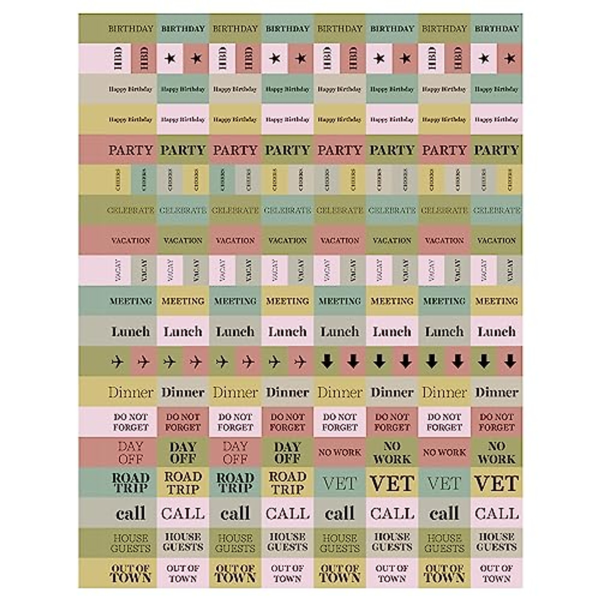 TF PUBLISHING 2024 Wild Sage Large Weekly Monthly Planner | Monthly Life Planner for Women with 2 Page Spreads | 12 Month Calendar and Planning Prompts | Planner for School or Work | 9"x11"