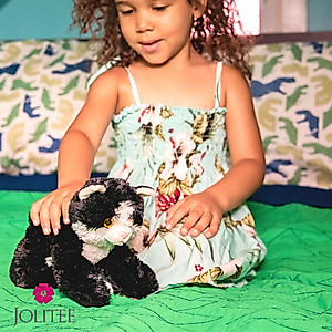 Jolitee Kitten Cat Collection Small Plush Stuffed Animal 8 inch (Tuxedo)