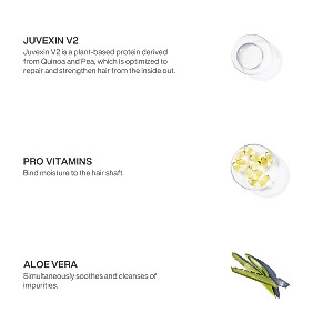 GK HAIR Global Keratin pH+ Pre-Treatment Clarifying Shampoo (10.1 Fl Oz/300ml) For Preps Hair Deep Cleansing,Removes Impurities -With Aloe Vera, Vitamins & Natural Oils All Hair Types Men and Women