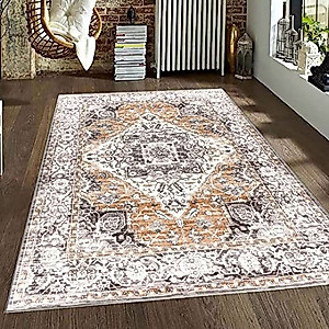 Boho Washable Area Rug 3x5 Bedroom Entry Throw Rug Medallion Stain Resistant Distressed Bohemian Ultra Thin Rug Non-Slip Carpet for Entrance Living Room Dining Table
