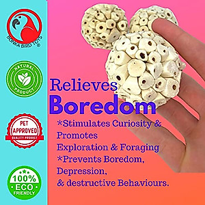 Bonka Bird Toys 1214 pk3 Sola Atta Balls Foot Beak Chew Forage Natural Organic Small Pet Ball