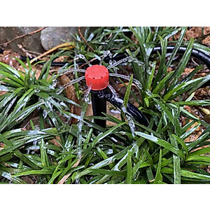 ZILIM 50PCS Drip Emitters Sprayer with 8 Hole, 360 Degree Dripper Perfect for Irrigation System Watering Kits, Adjustable for 1/4inch(7 x 4mm) Irrigation Tube Hose, Garden Patio Lawn Flower Bed