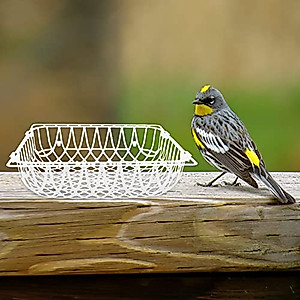 Happyyami 5 Sets Pigeon nest with Brown Cushion Pigeon Bird Pigeon Nesting Bowls Plastic Bird Multipurpose Tool pet Bird Accessories Multi-Function Breeding Nest pp White Incubator Birdcage