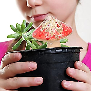 4Pcs Ceramic Mushrooms for Garden, Miniatures Mushroom Decor Mini Mushroom Garden Decor Mushroom Statue for Plant Pots Micro Landscape Dollhouse Decor