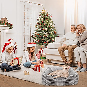 MARUNDA Heated Cats Bed for Indoor Use, Electric Cats Heated Bed Pets Heating Bed for Cats and Small Dogs, Washable Pets Bed with Automatic Heating Pad (23x20x7 Grey)