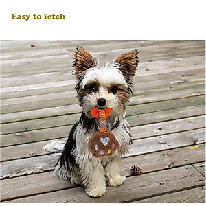 Volacopets Puppy Toys for Teething, Cute Little Puppy chew Toys for Boredom, Dog Squeaky stimulating teether Toy for Small Breed, Interactive Puppy Chewing Toys