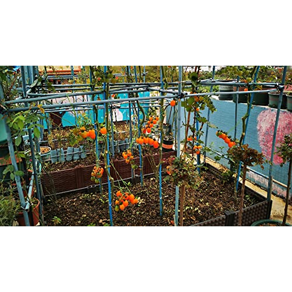 Organic Perlite Horticultural Soil Amendment for Plants and Enhanced Drainage Enhanced Growth (7 Quarts)