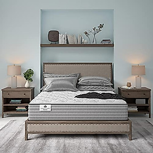 Kingsdown Passions Aspiration Plush Mattress, Queen