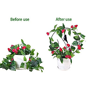 TKRSRK 2 Pcs Iron Garden Trellis for Climbing Plants, 13.6" Rust-Proof Small Trellis for Indoor Potted Plants, Round Circle Trellis with Bird, Metal Vine Plant Support Trellis for Vines - Black