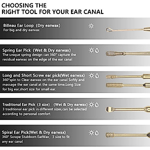 Hion 6 Pcs Extended Ear Wax Removal Kit,Professional Double-Headed Ear Pick Earwax Removal Tools,316L Stainless Steel Ear Cleaner Curette with Cleaning Brush and Storage Box,Suit for Kid Adult(Gold)