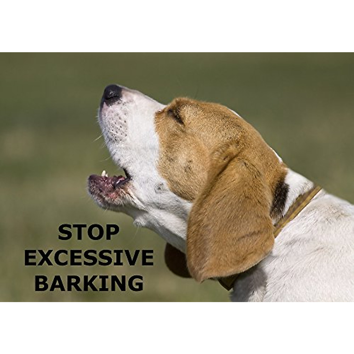 SAFETY-SPORT DOG HORN XL