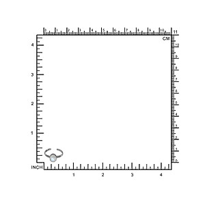 Silvershake Natural Rainbow Moonstone Oval 7x5 mm 925 Sterling Silver Toe Ring Size 4