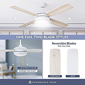 Prominence Home 51636-01 Kailani Ceiling Fan, 52, White