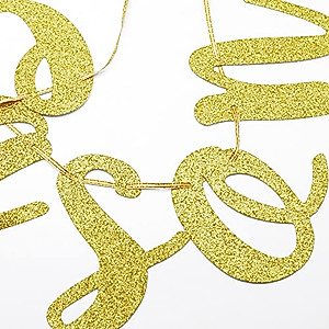 Pisces Season Birthday Banner Zodiac Birthday Party Decorations February March Astrology Sign Gold Glitter String Decor