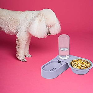 balacoo Rabbit Water Bottle Pet Water Dispenser Cat Feeder Dog Food Container Pet Feeder Water Dispenser Dog Cat Food Dispenser Bowls Collapsible Water Bottle