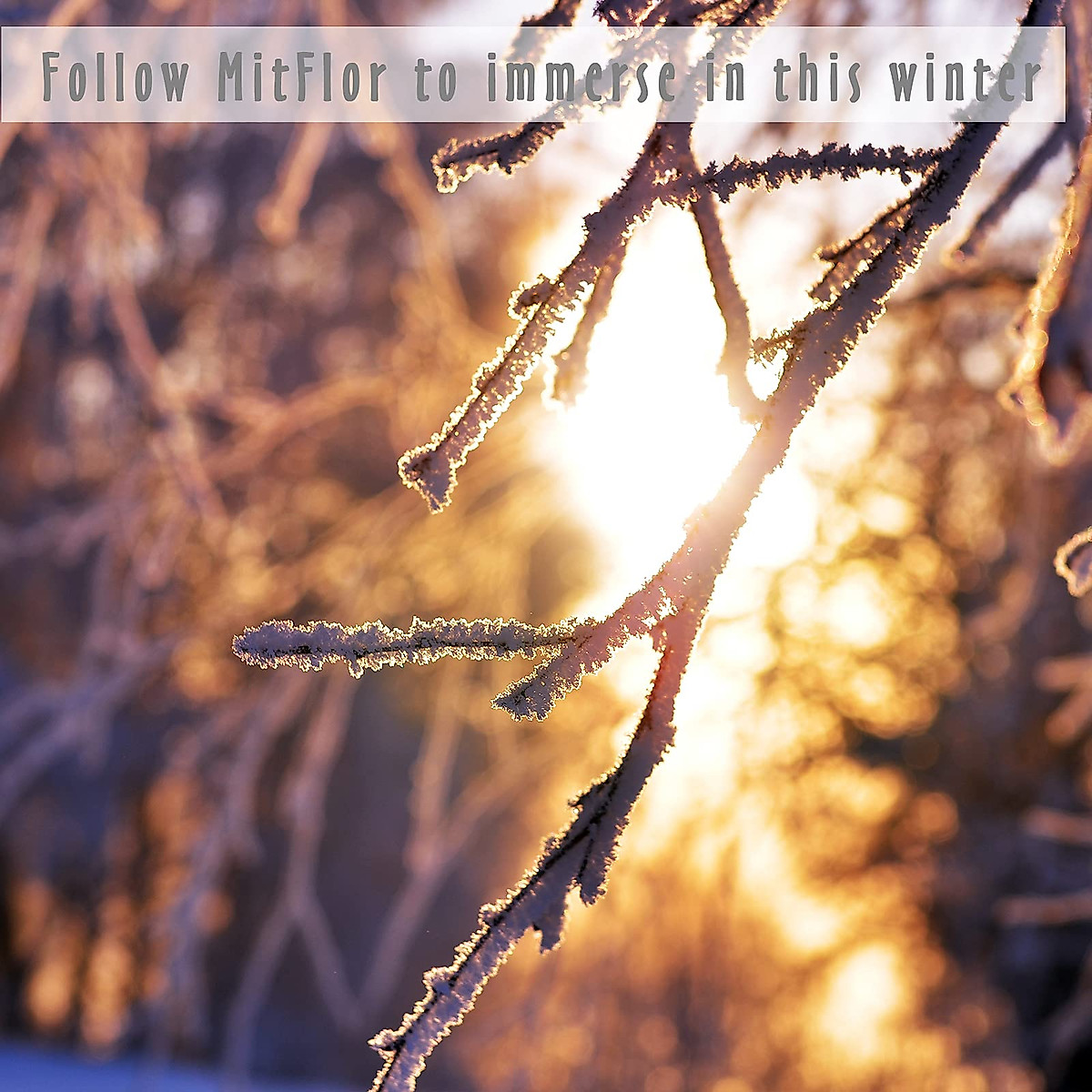 Fragrance Oils, MitFlor Winter Essential Oils for Home Diffusers, Soap & Candle Making Scents, Premium Holiday Aromatherapy Gift Set, 6 x10ml-Winter Berries, Gingerbread Cinnamon, Fireplace & More