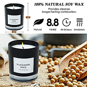 Candles for Home Scented, 8.8oz BlackBerry Spice Aromatherapy Candles Scented with Long Lasting Burning, Highly Home Scented Candles for Stress Relief Relaxation, Jar Candle Gifts for Women Men