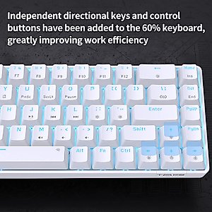 DIERYA T68SE Mechanical Gaming Keyboard, LED-Backlit Wired Keyboard, Ultra-Compact Mini 68-Key White Keyboard with Brown Switches, Anti-Ghosting Keys, for Windows Laptops and PC Gamers