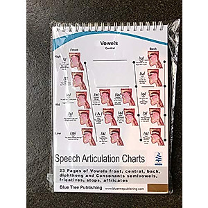 Speech Articulation Anatomy Flip Charts