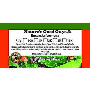 NaturesGoodGuys 500 Encarsia Formosa