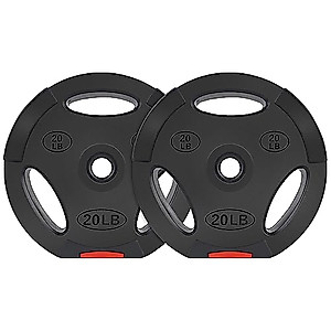 Signature Fitness 100LBS Vinyl Standard 1-Inch Plate Weight Plate for Strength Training and Weightlifting