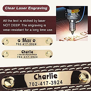 Personalized Dog Collar - Custom Leather Dog Collar with Engravable Nameplate - Durable Name Tag Collar - Customizable Dog Collar - Comfortable ID Collars for Small, Medium, Large Dogs (Small)