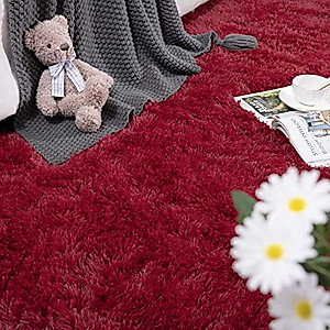 DETUM Wine Red Runner Rug 2' X 6' Fluffy Burgundy Area Rugs for Bedroom Bedside Soft Living Room Shag Rugs Hallyway Entryway 24 x 72 Inch Room Decor