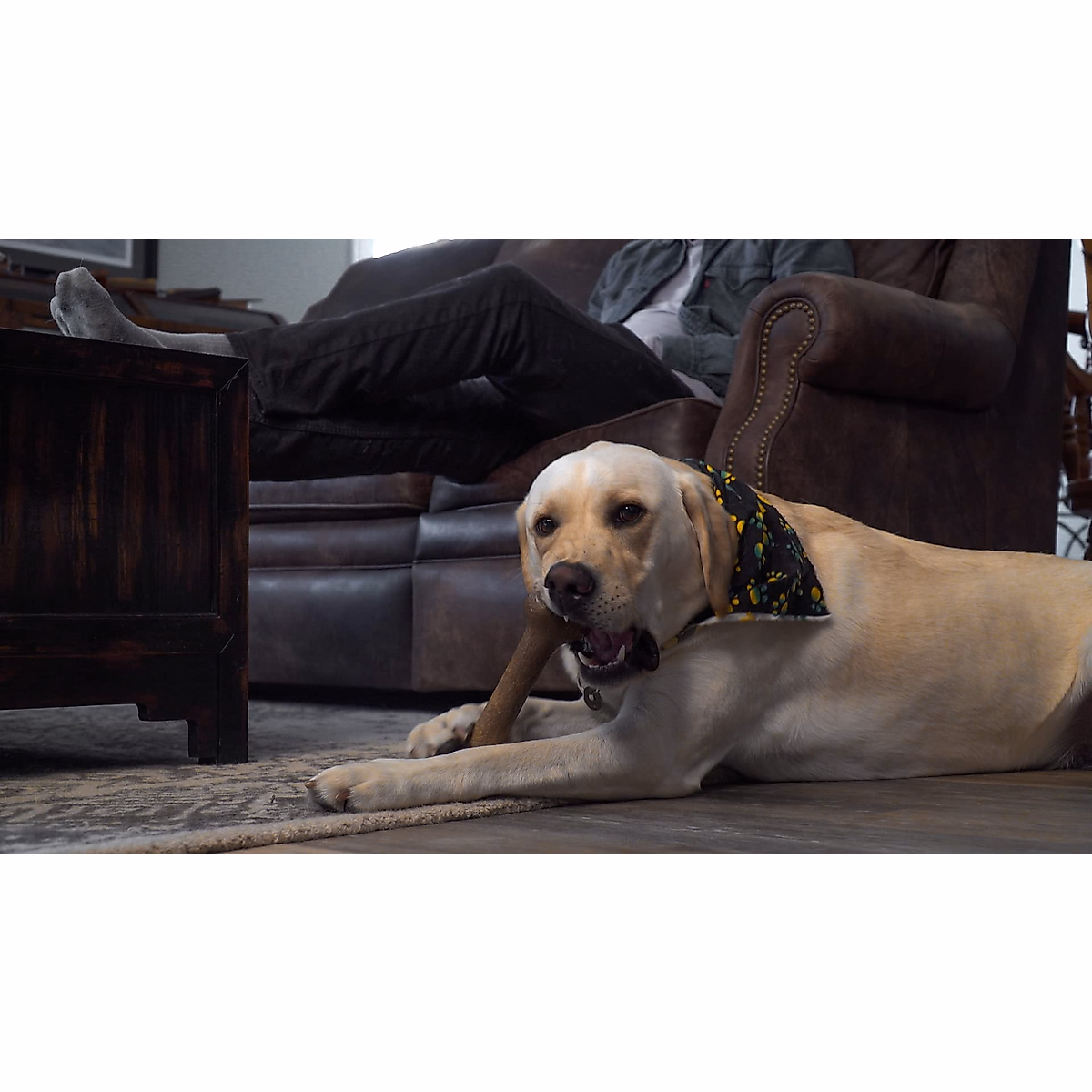 Hero | Bonetics Femur Bone | Dog Bones | Puppy Bones | Designed for Extra Large Dogs Up to 75 lbs (Bacon Flavor)