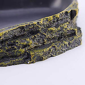 POPETPOP Reptile Food Dish Terrarium Water Bowl Food Feeding Plate Container Drinking Water Tray Resin for Snake Tortoise Frog