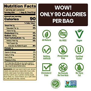 Drizzilicious S'mores 10 Pack | Mini Snack Chocolatey Rice Cakes | Vegan Air Popped Chia, Quinoa, Flax Smore Snacks