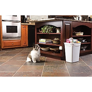 PetSafe Pawz Away Spray Deterrent