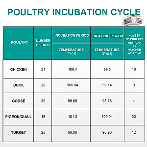 Lreerge Egg Incubator, 12 Eggs Incubator with Automatic Egg Turning, Automatic Water Adding, 360 Degree View, for Hatching Chicken Goose Quail Duck