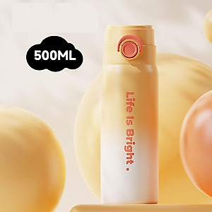 bukebro Stainless Steel Vacuum Insulated Water Bottles Leak Proof with Straw,keep warm|cool,Gifts for him|her,used in office,outdoor sports 17oz/500ml (17oz orange)