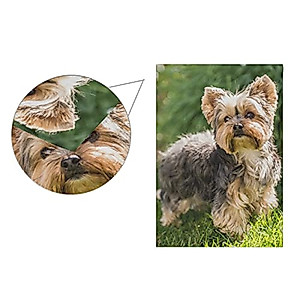 Hokkien Little Yorkshire Terrier Dog Garden Flag Double Sided 12 x 18 Inch, Yard Flags, Decorative Small Garden Flags, Outdoor Lawn and Garden Décor
