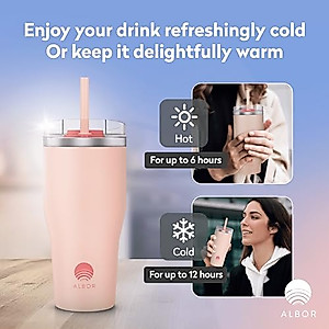 ALBOR 20 oz Insulated Coffee Tumbler With Lid and Straw, Insulated Water Bottle, Stainless Steel Tumbler, Leak Proof Water Bottle, Travel Coffee Mug (20 oz, Pink)