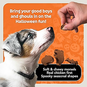 Blue Buffalo Boo Bits Soft & Chewy Halloween Dog Treats, Tasty Chicken Recipe, 4.5-oz Bag